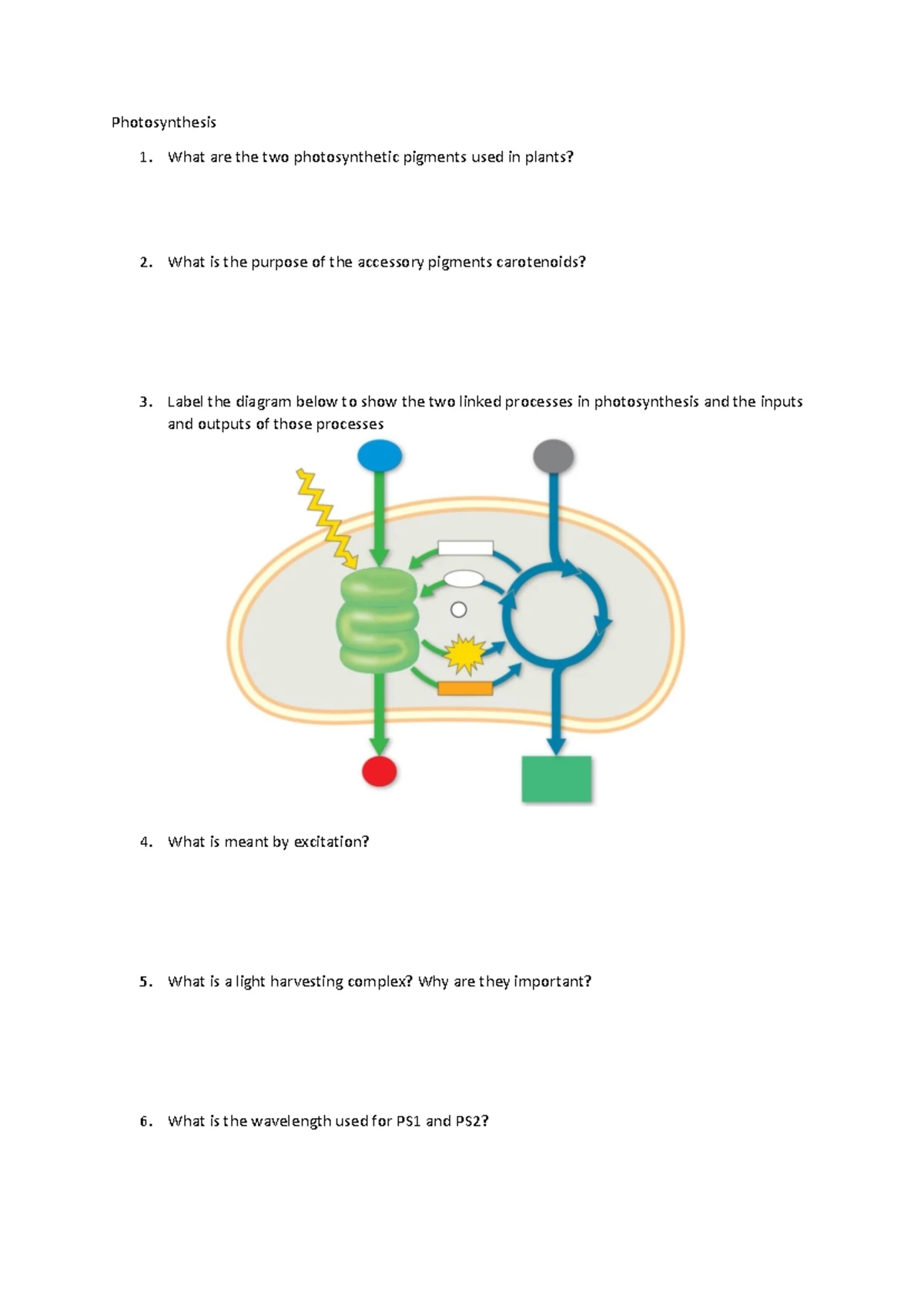 Quiz Molecules-Photosynthesis - Molecules of life quiz 1 3/4/2020 ...