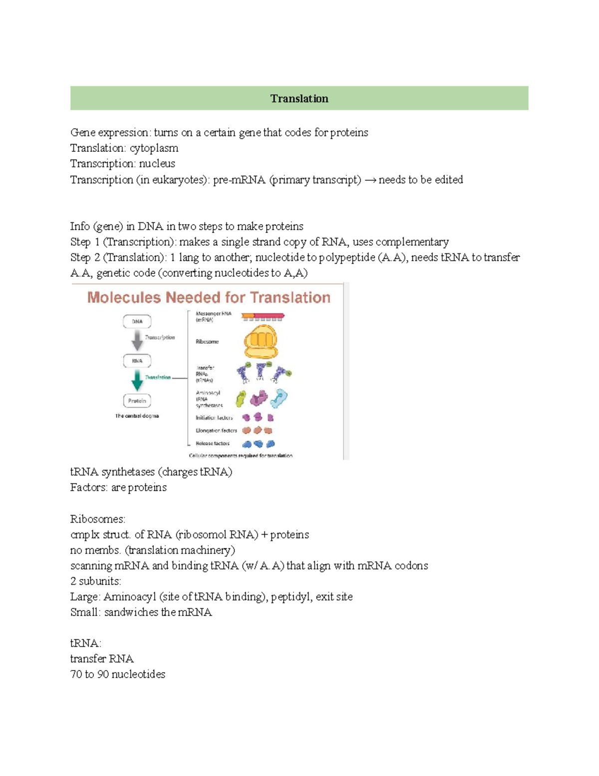 BIO 101 Lecture 5 Notes: Gene Expression, Transcription & Translation ...