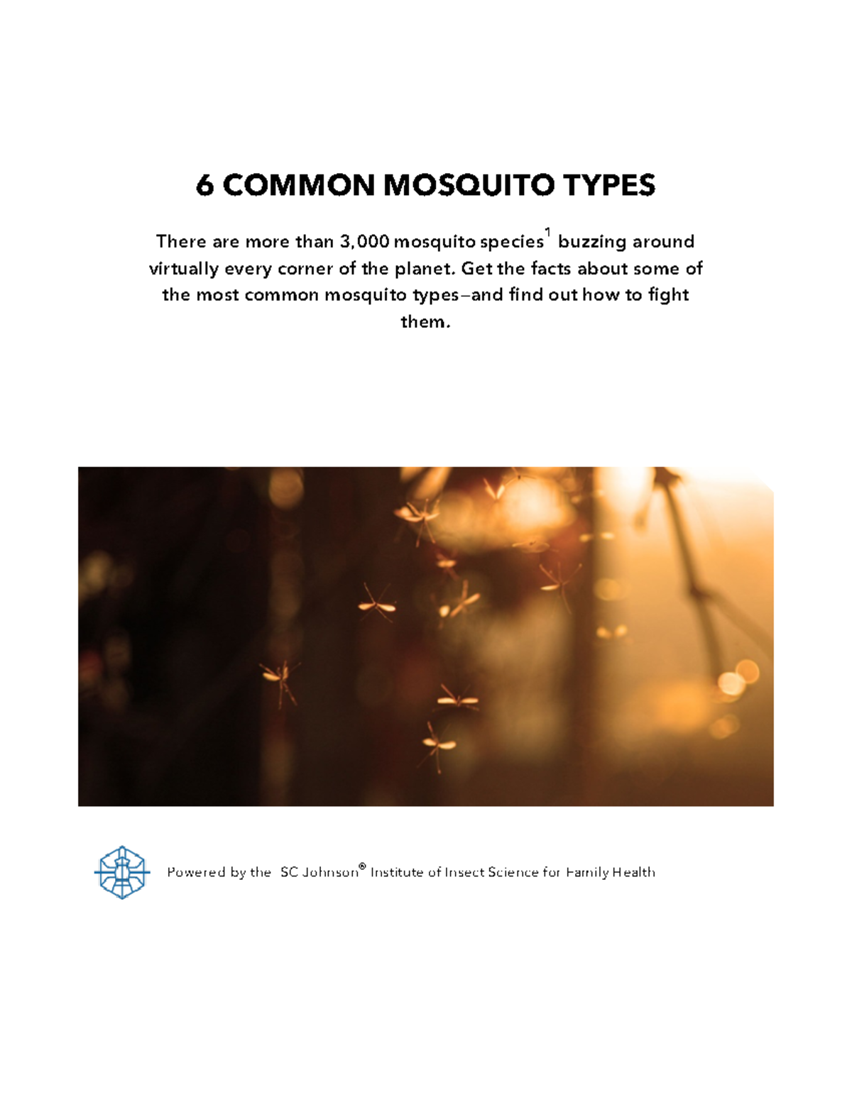 6 Common Mosquito Types – What Attracts Mosquitoes – Raid® - 6 COMMON ...