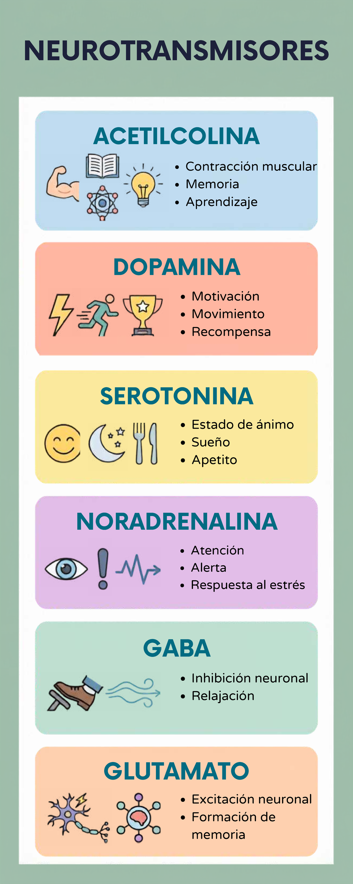 Infographic of Six Neurotransmitters 20260601 215123 0000 - Neuro ...