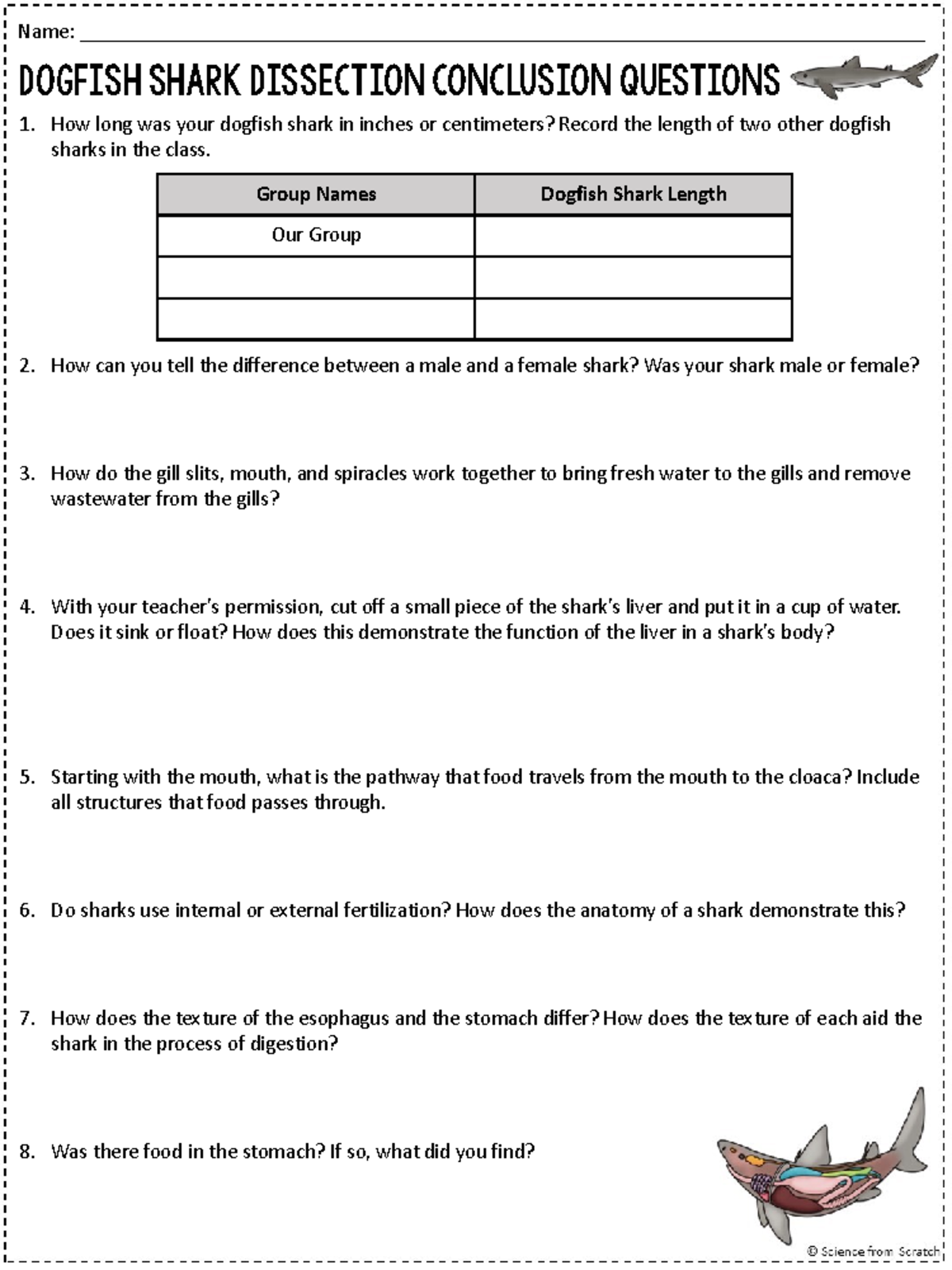 Dogfish Shark Dissection Conclusion Questions (BIO 101) - Studocu