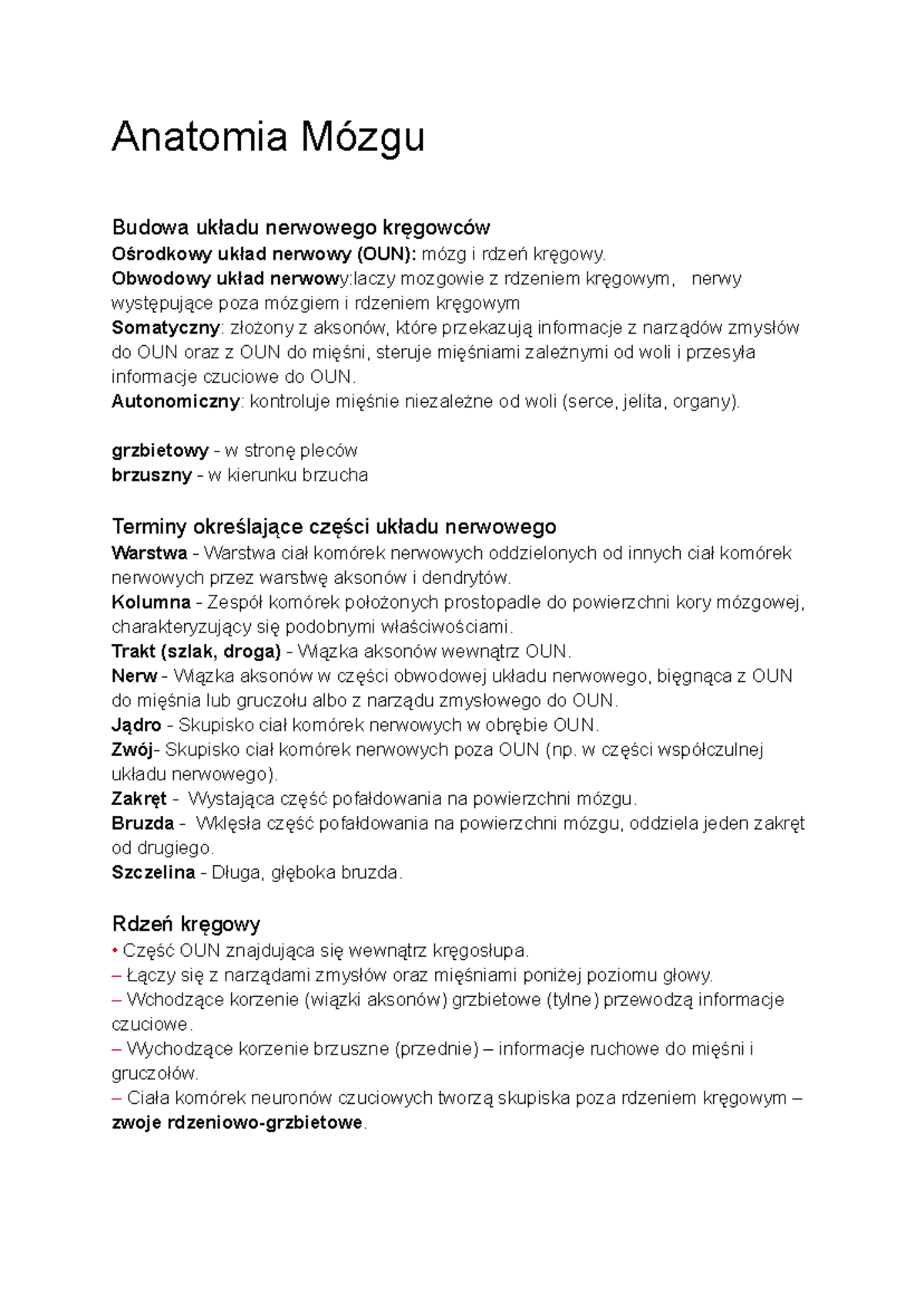 Notatki z Anatomii Mózgu - Układ Nerwowy i Jego Struktury - Studocu
