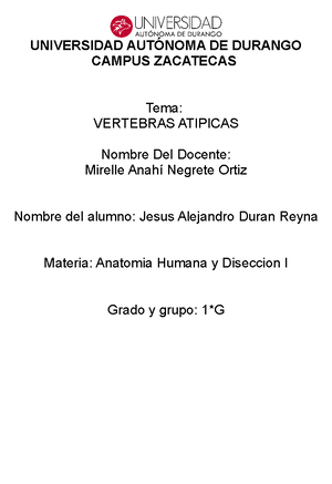 [Solved] Apfisis Unciforme funcion y relacion - Anatomia y disecciones ...