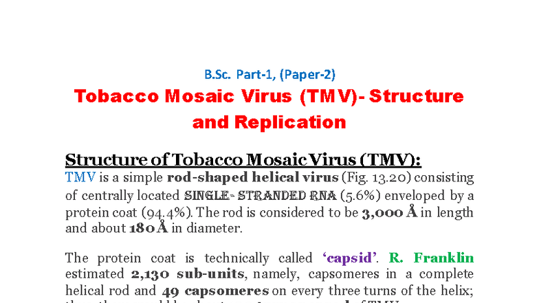 B.Sc. TMV Structure & Replication Overview: Key Insights - Studocu