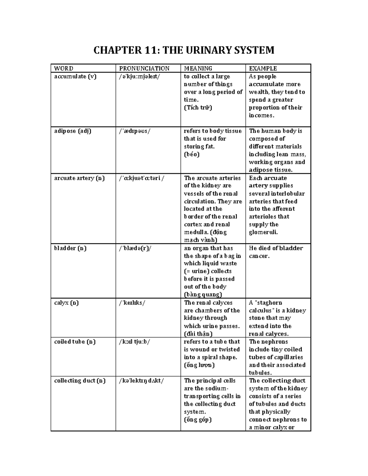 Chapter 11: The Urinary System - Key Terms and Definitions - Studocu