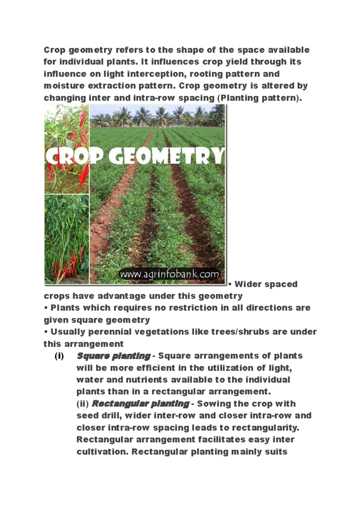 Crop Density & Geometry: Impact on Yield & Planting Patterns - Studocu