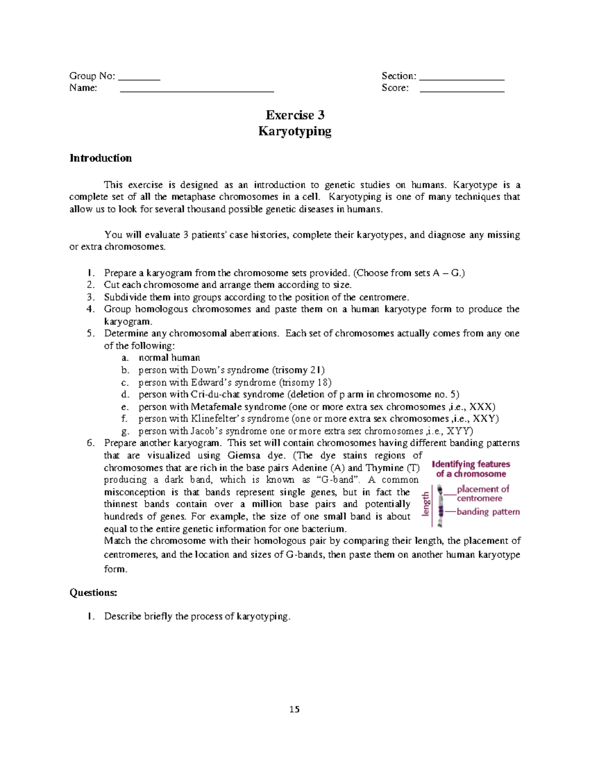Genetics Lab Exercise 3: Karyotyping and Chromosomal Analysis - Studocu