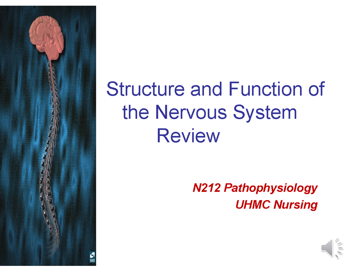 N212 Pathophysiology: Structure & Function of the Nervous System Review ...