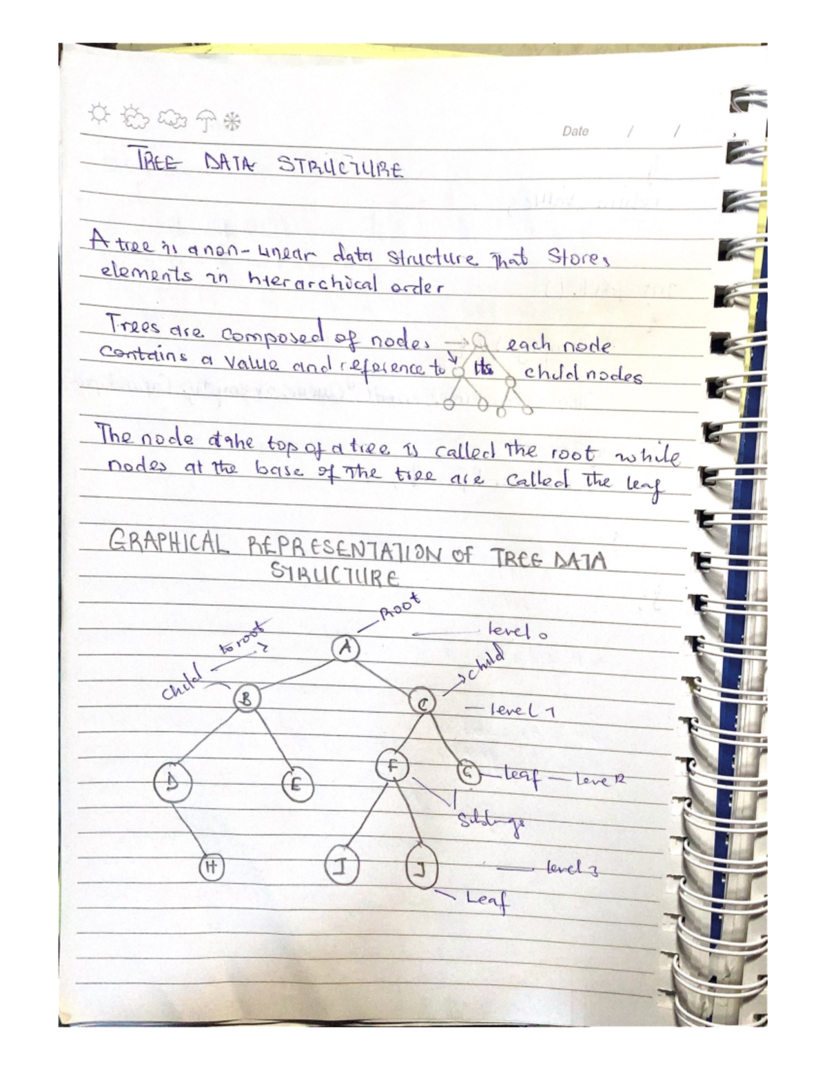 CS101 - Tree Data Structures: Fundamentals and Properties - Studocu