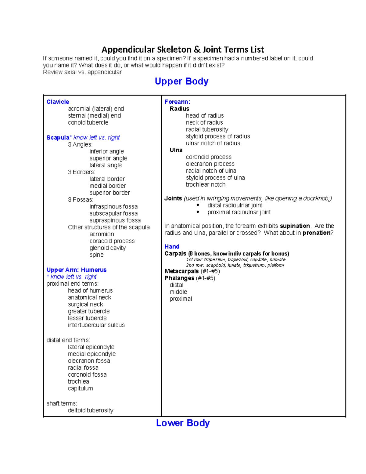 Terms List Lab 06 Appendicular Skeleton and Articulations ...
