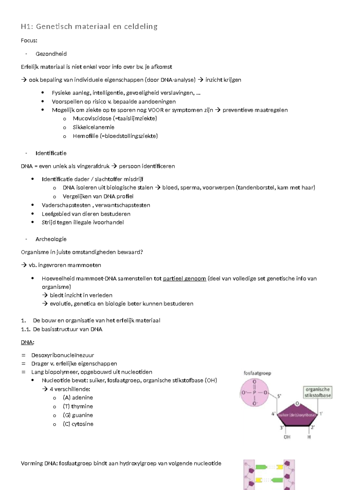 NW Thema 1: Genetisch Materiaal en Celdeling - Inzicht in DNA en ...