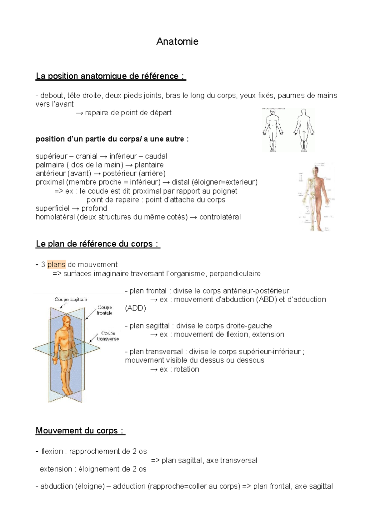 Anatomie CM1 : Position Anatomique et Mouvements du Corps - Studocu