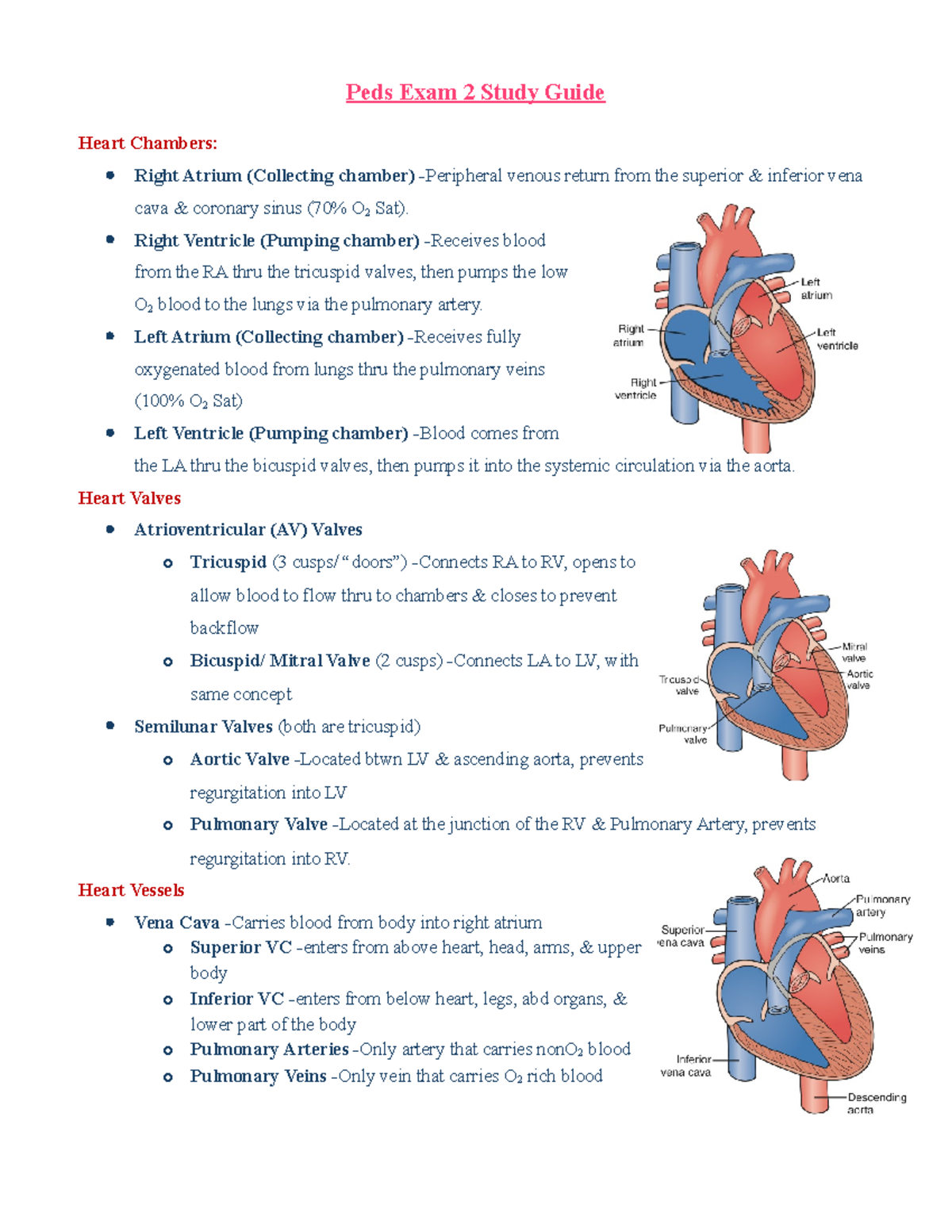 NSG 3500 Peds Exam 2 - Exam 2 Study Guide - Peds Exam 2 Study Guide Heart Chambers: Right Atrium ...