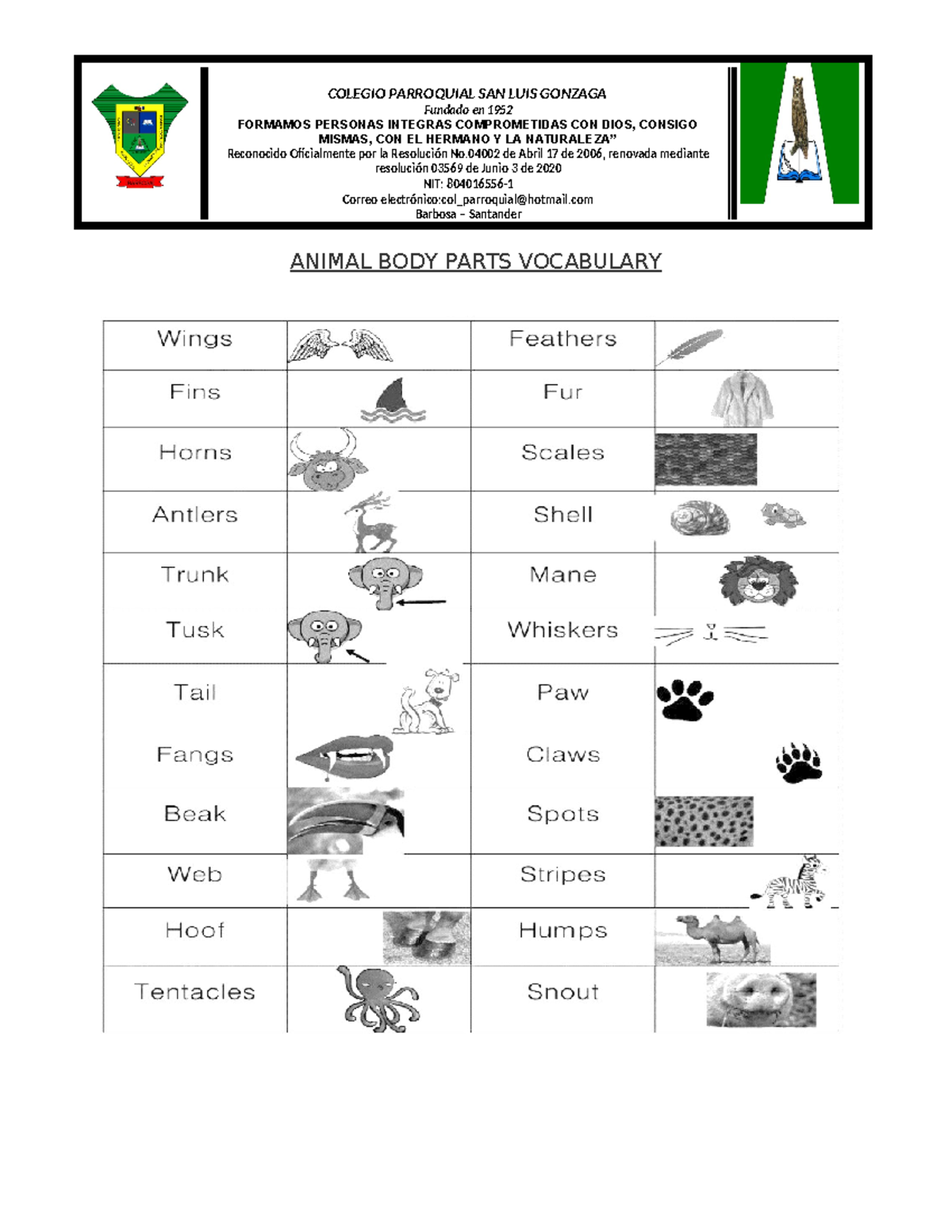 Animal BODY Parts Vocabulary - Didactica evaluacion - COLEGIO ...