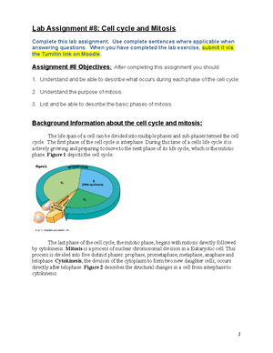Lab Assignment #5 - Enzymes-2 - Pushti Chouhan Bio 101 Lab Lab ...