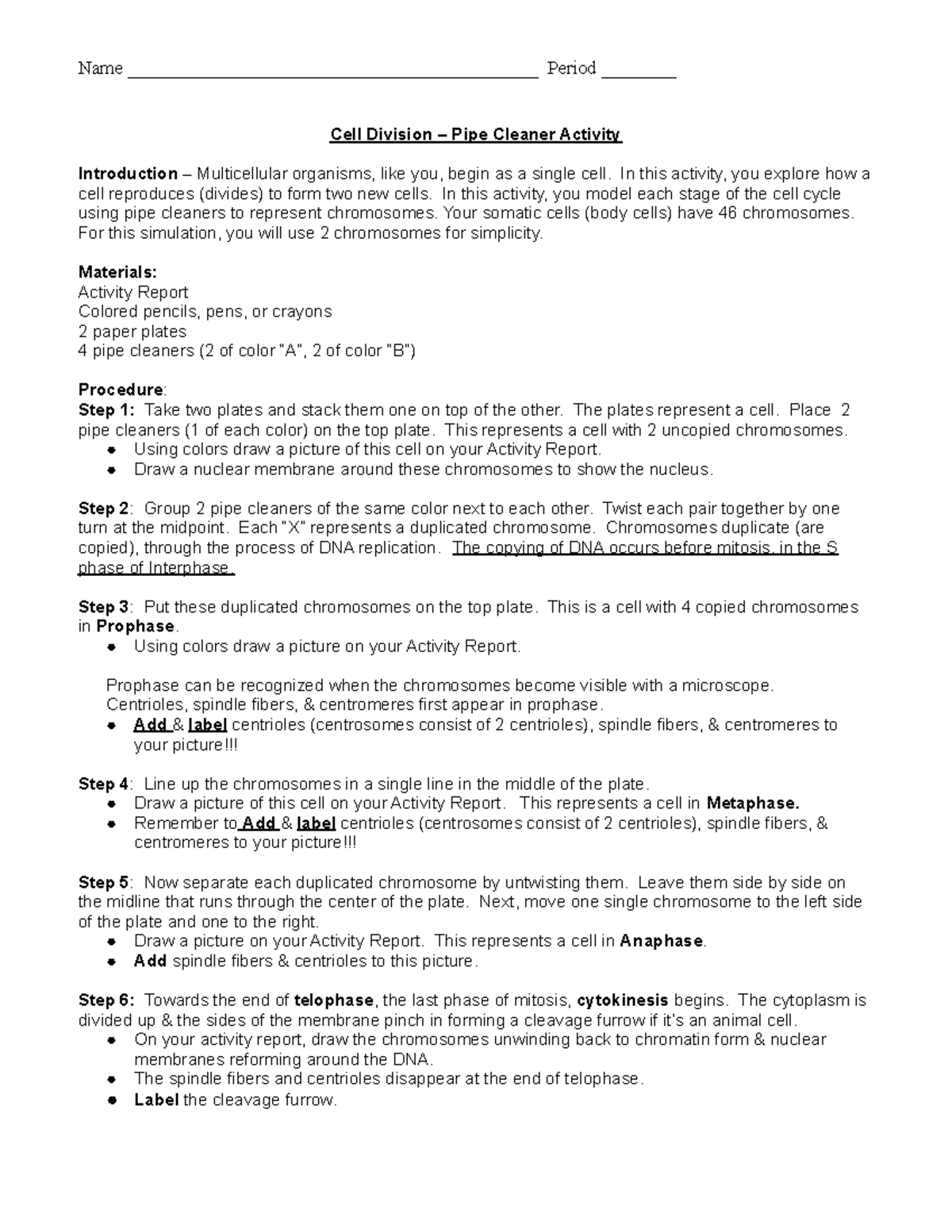 Cell Division Pipe Cleaner Activity: Understanding Mitosis Steps - Studocu