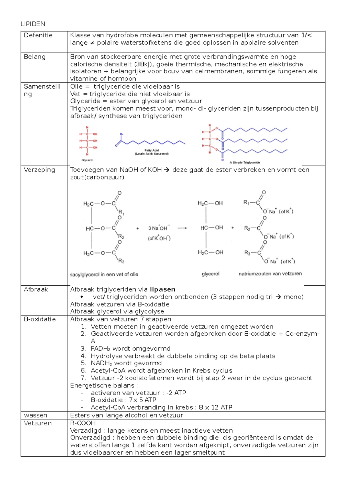 Lipiden Samenvatting en Functies - Biochemie HS101 Notes - Studocu