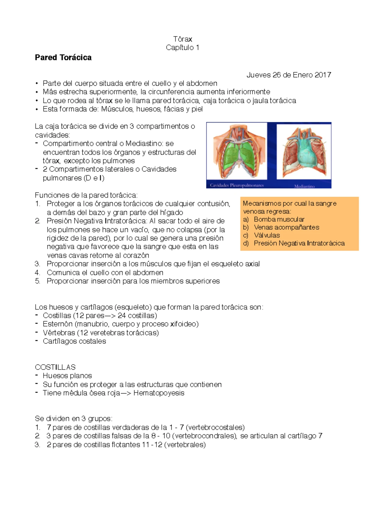 CODO - RESUMEN DE ARTICULACIONES Y LIGAMENTOS DEL CODO - Studocu