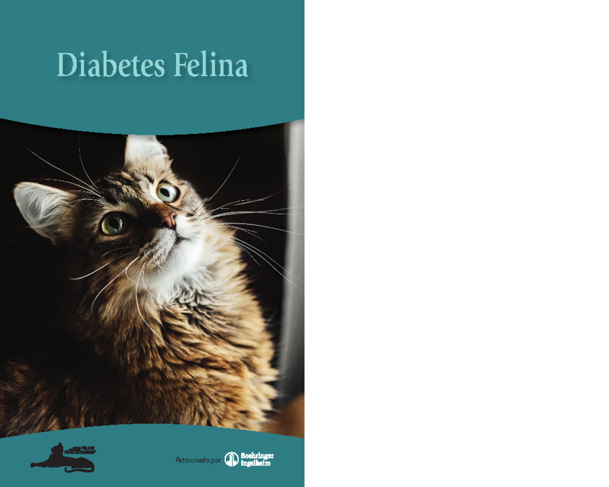 AAFP Diabetes Felina - Guía de tratamiento oncológico - Diabetes Felina ...