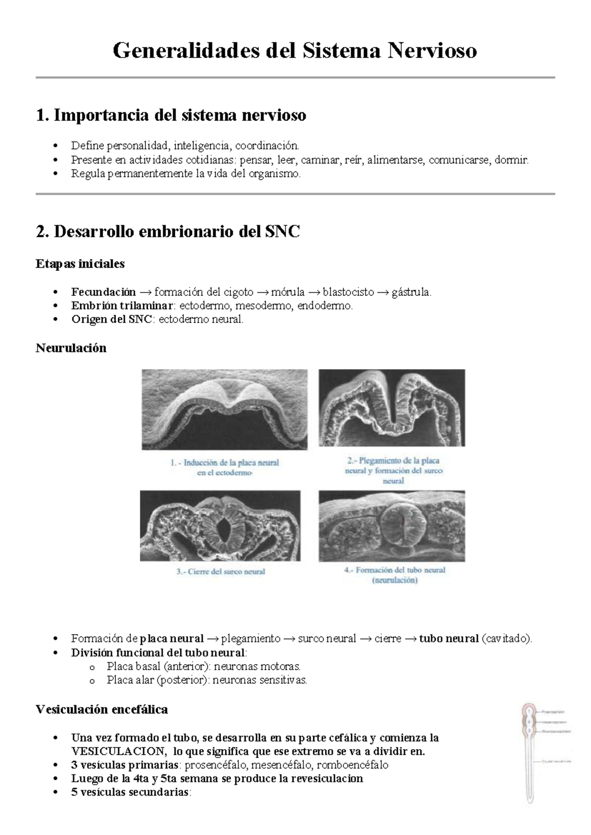 Generalidades del Sistema Nervioso: Estructura y Función del SNC - Studocu