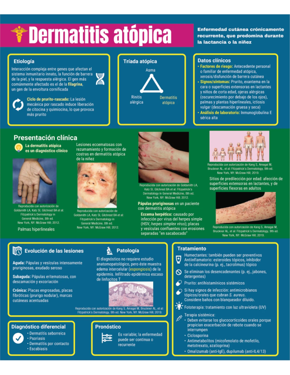 Criterios de Diagnóstico para Dermatitis Atópica: Guía Clínica - Studocu
