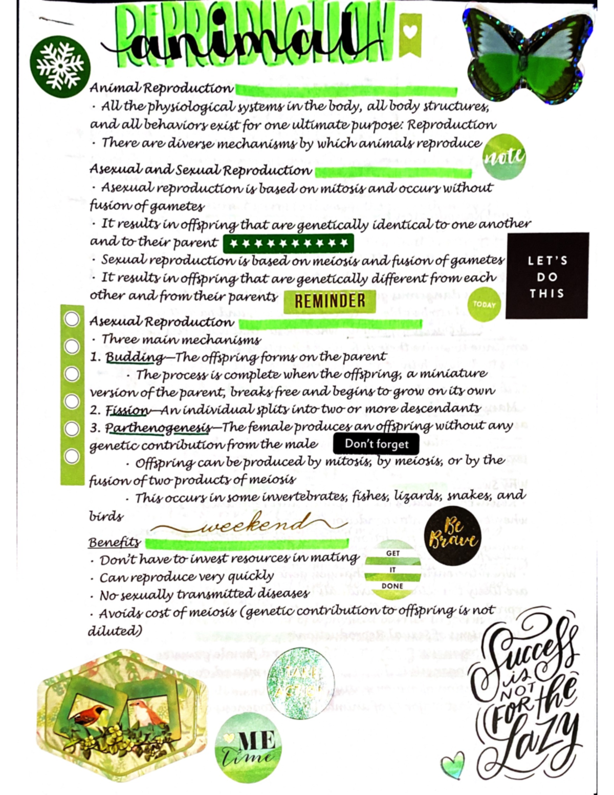 Gen Bio 3 Notes 14 - C) CO) O C) CO) diduted) ee a A psec VED J yee GY ...