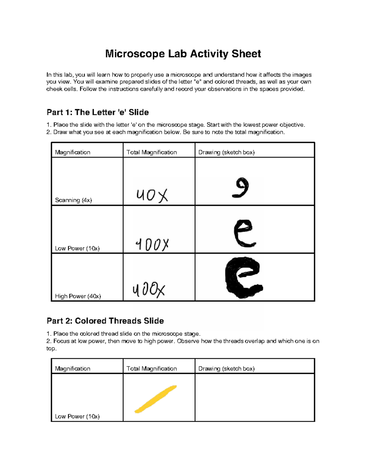 Microscope Lab Activity Sheet (BIO 101) with Observations & Questions ...