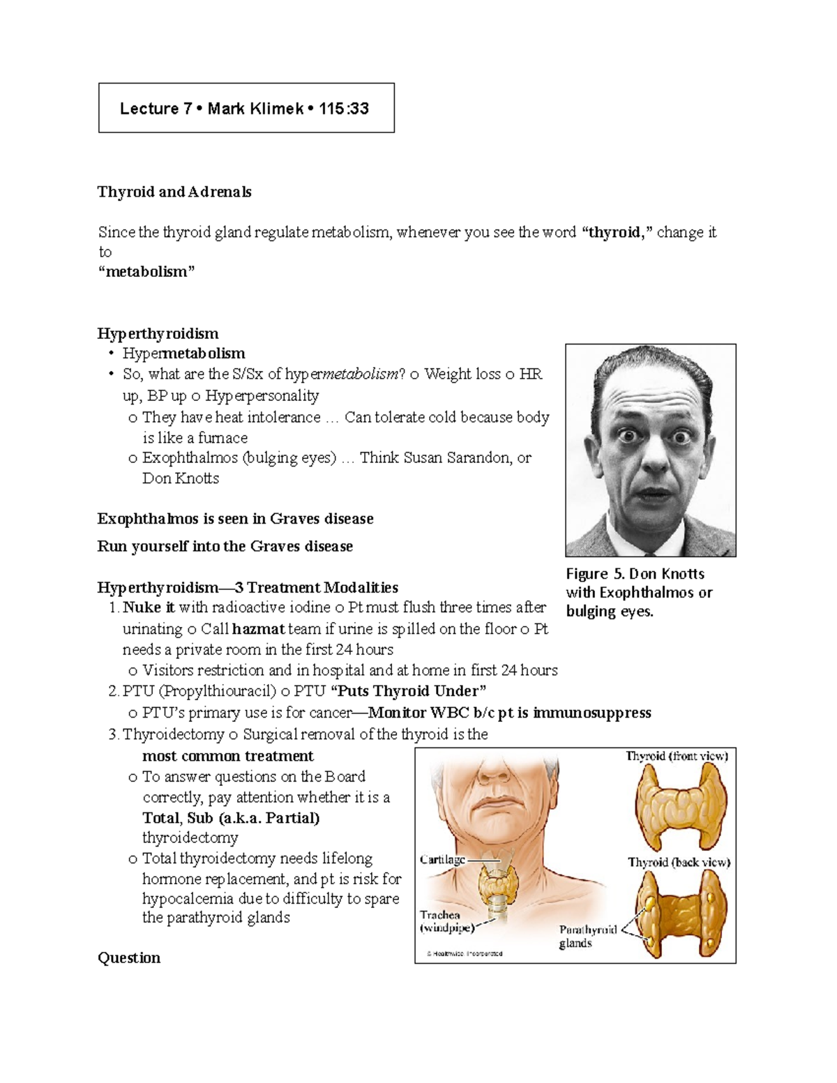 CM 115: Mark Klimek Lecture 7 - Thyroid & Adrenals Overview - Studocu