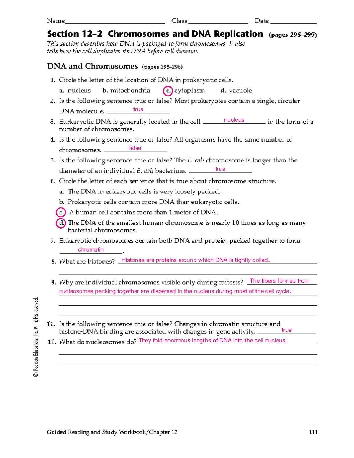 BIO 2025 Guided Reading: Chromosomes & DNA Replication Worksheet - Studocu