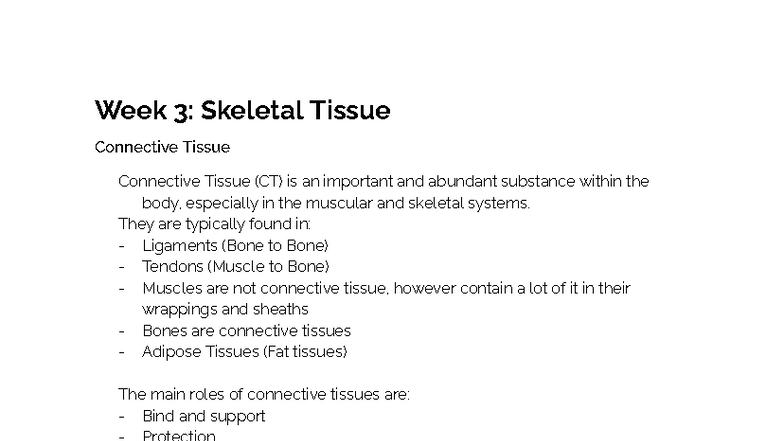Week 3: Structural Anatomy Lecture Notes on Connective Tissue - Studocu