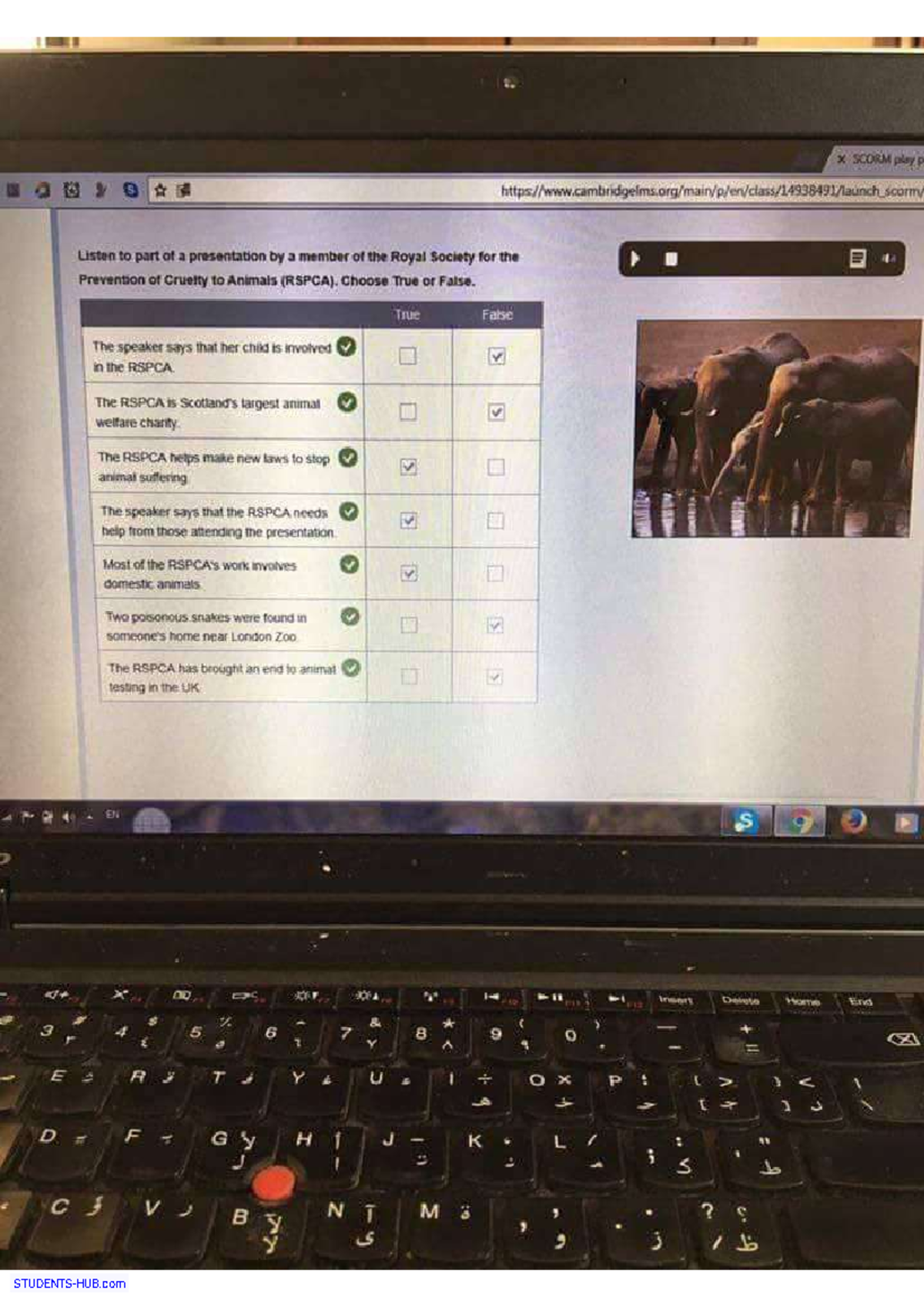 RSPCA Presentation Listening Exercise - True/False Quiz - Studocu