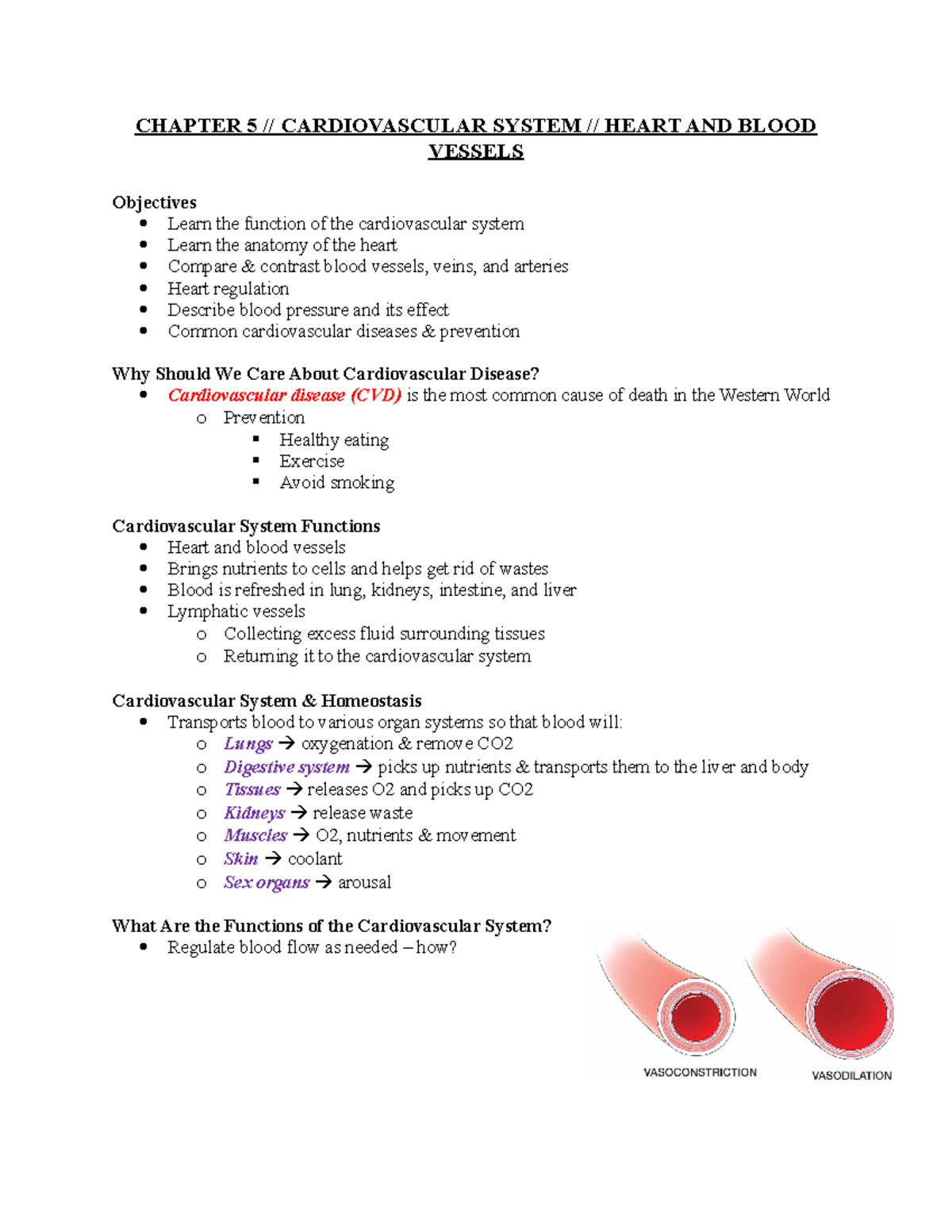 Chapter 5: Cardiovascular System - Anatomy & Functions Explained - Studocu