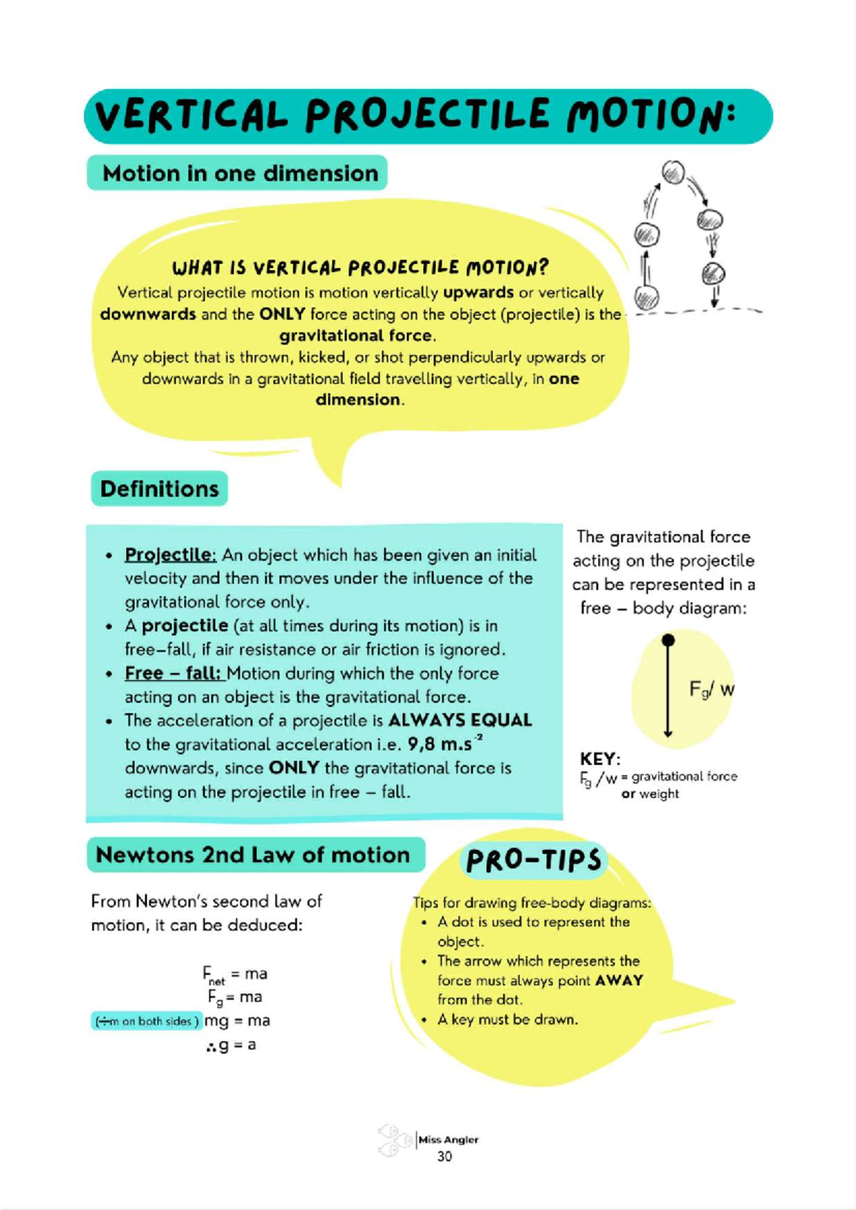 Vertical Projectile Motion Notes: Understanding Motion in One Dimension ...