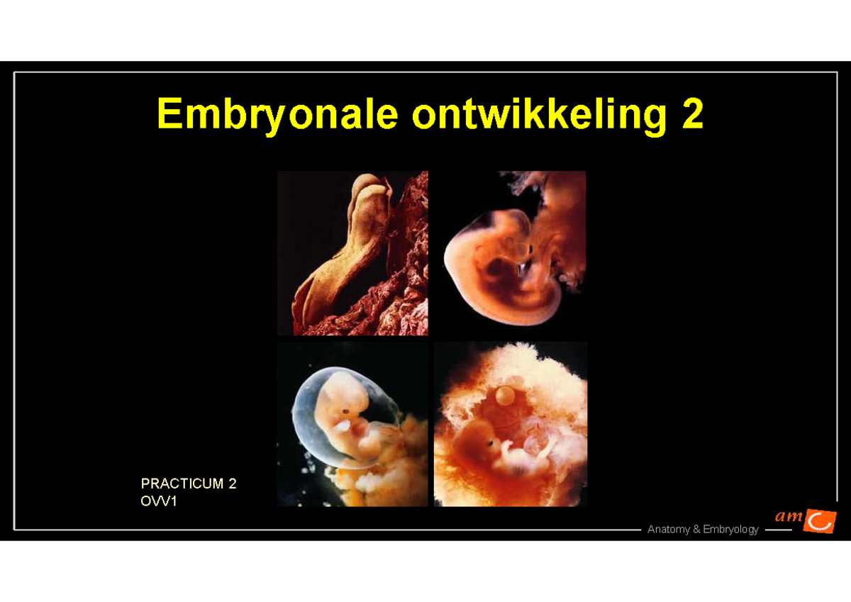 Embryonale Ontwikkeling 2: Practicum 2 Anatomie en Embryologie ...