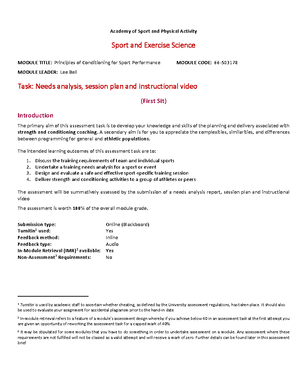 Program Cards level 3 - Program Card 1: Client Name: Safety checks: N/A ...