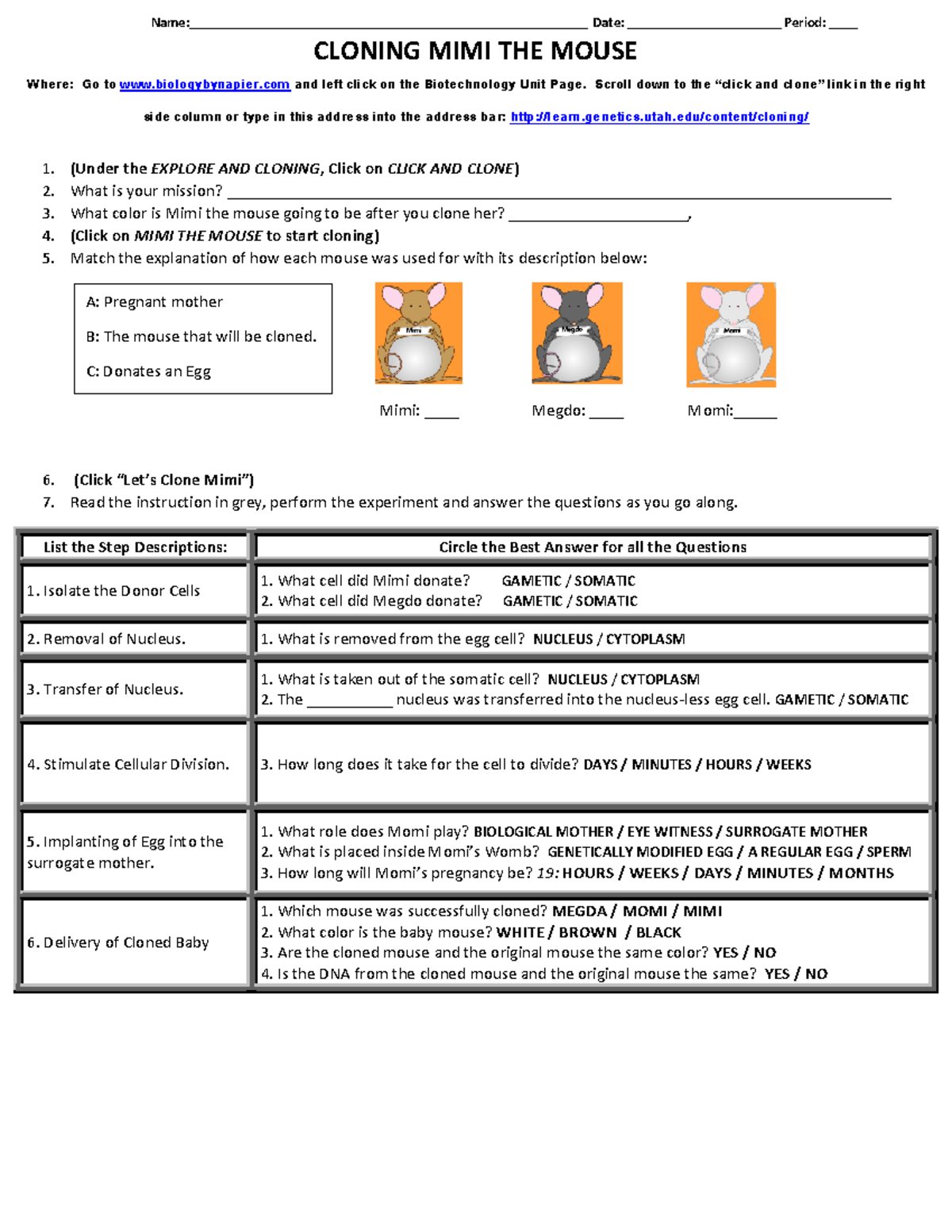 Biology 101: Cloning Mimi the Mouse - Experiment Instructions - Studocu
