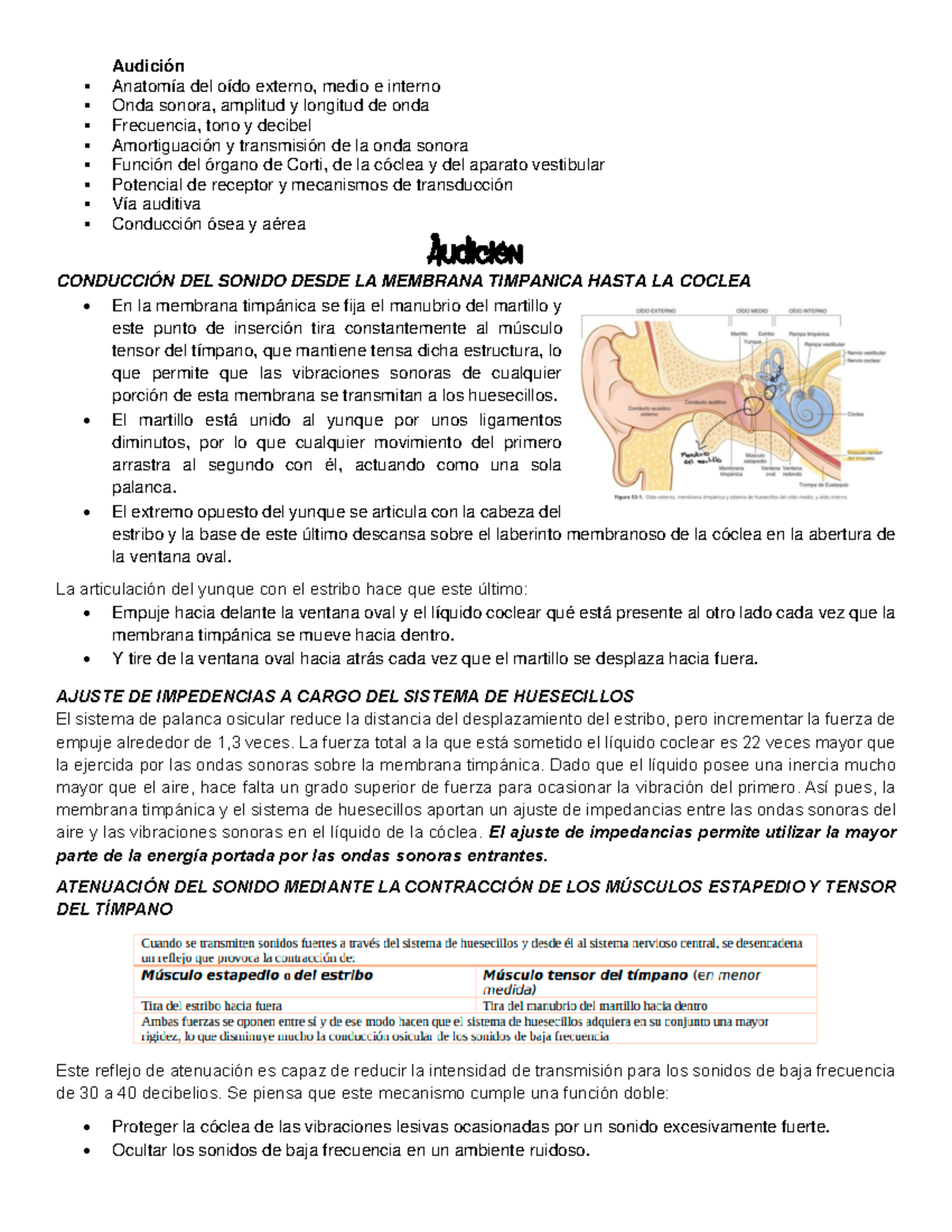 Fisiología de la Audición - Resumen de Guyton y Anatomía del Oído - Studocu
