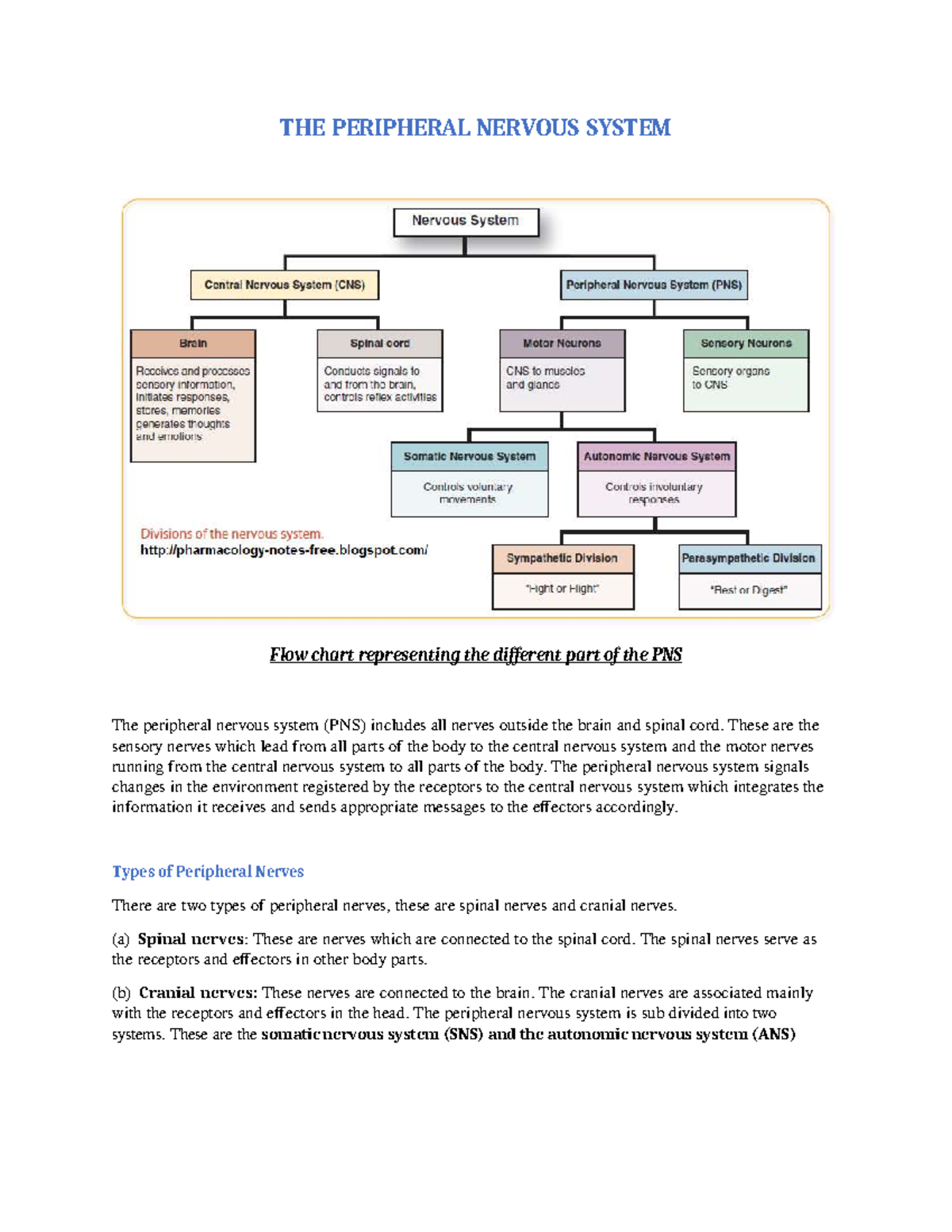 22302 PNS Overview: Structure & Function of Peripheral Nervous System ...