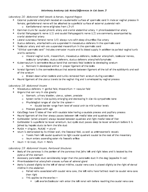 Animal Farm Chapter 5 Skills Page - Animal Farm Chapter 5 How is Mollie ...