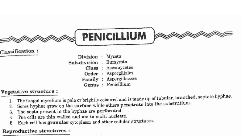 PENICILLIUM - Lecture Notes on Classification and Structure - Studocu