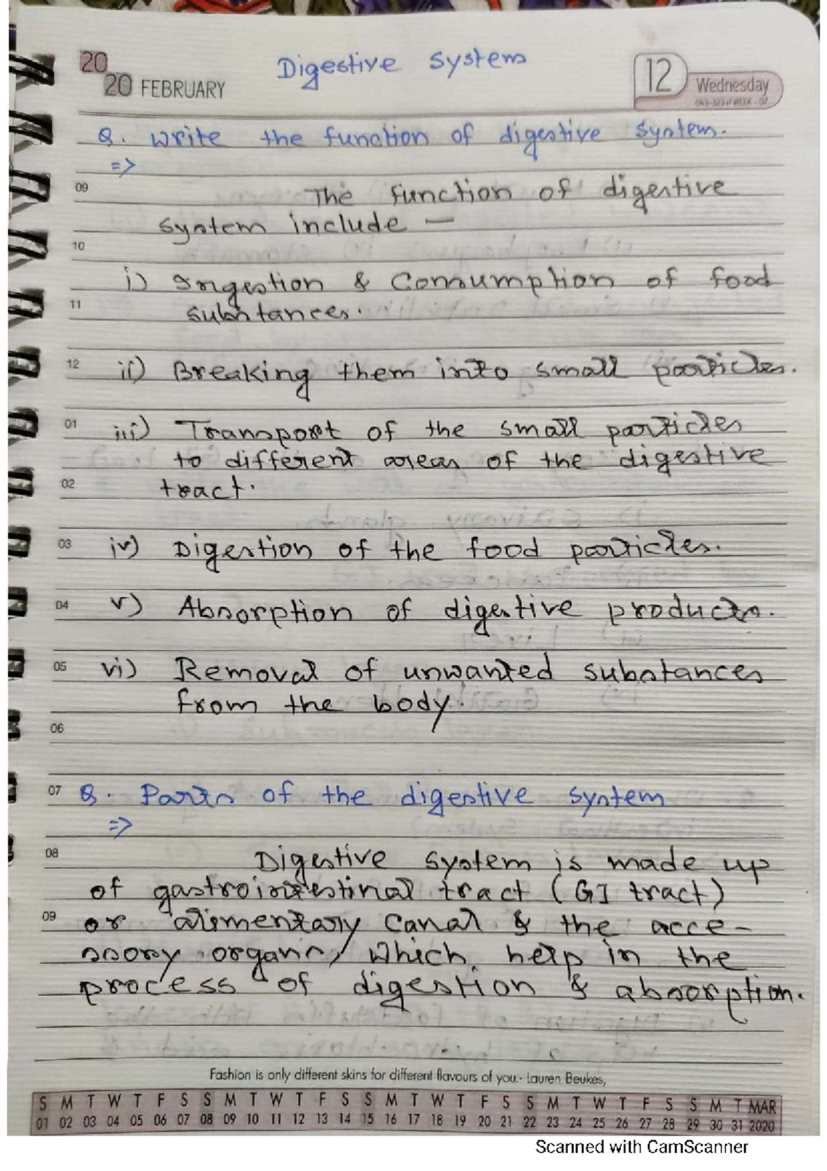 Digestive System Functions and Anatomy - Notes (Course Code: 20 FEB ...