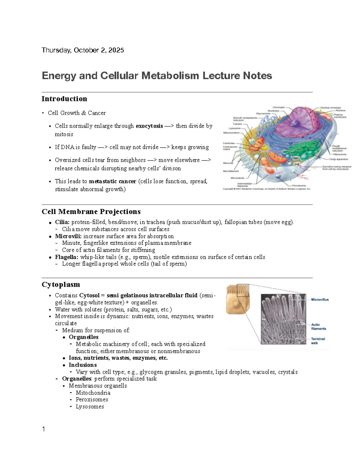 Cells and Organelles Lecture Notes (Biology 101) - Studocu