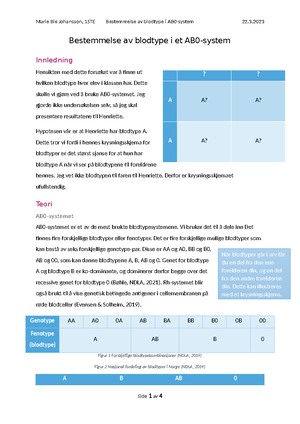 Forberedelsesark - Kapittel 4 "Bølger og stråling" - Naturfag VG1 ...