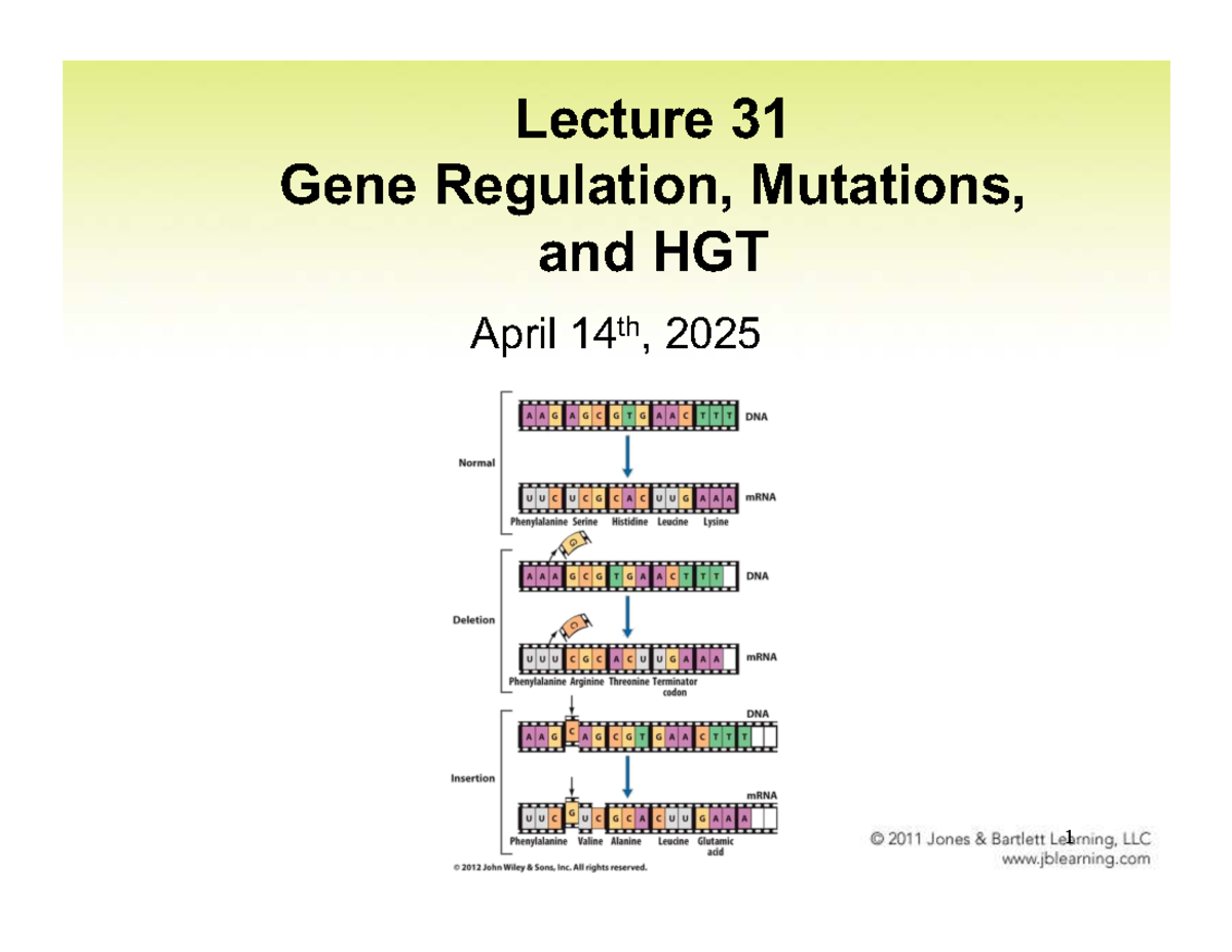 Lecture 31: Gene Regulation, Mutations & HGT - Micro 301 UP Spring 2025 ...
