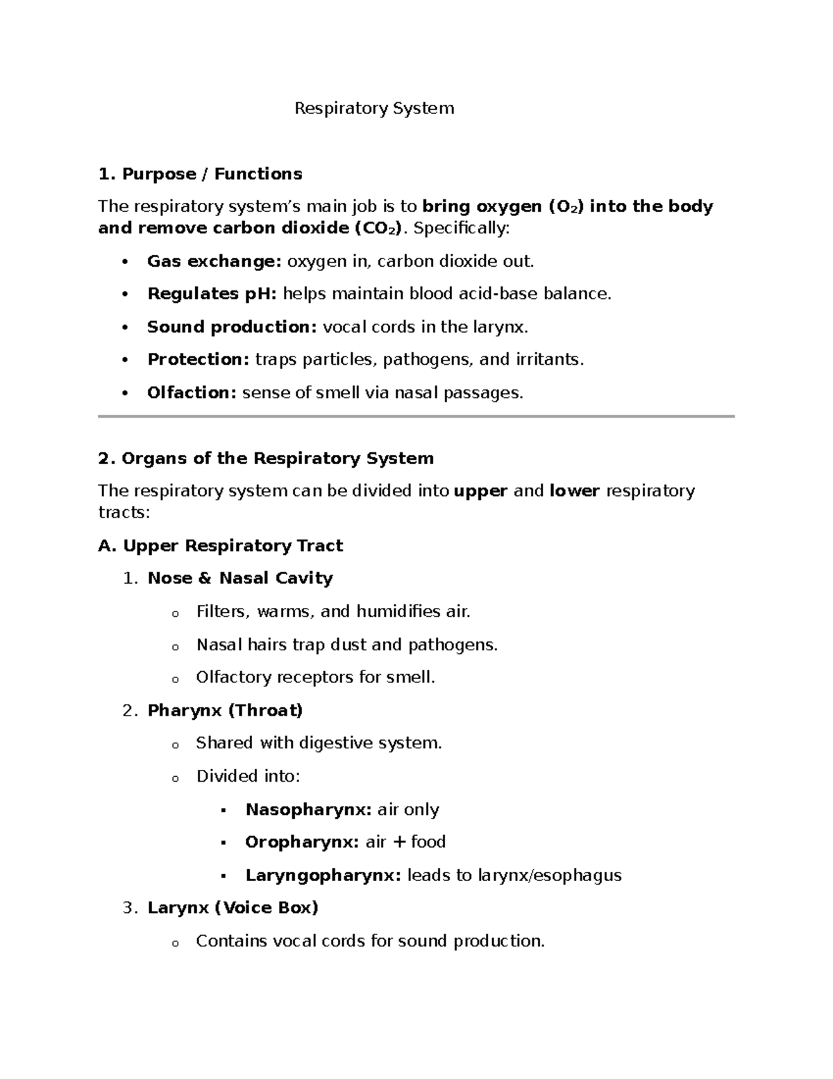 Respiratory System Overview: Functions & Organs Explained - Studocu