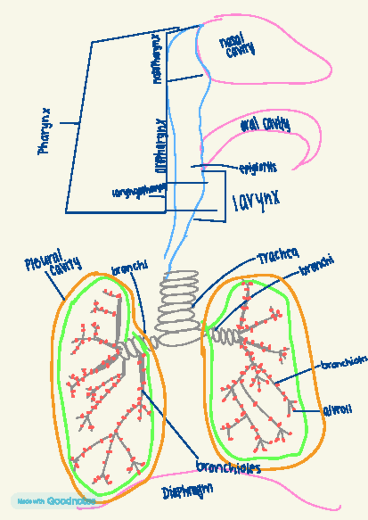 Untitled (Draft) - Sometimes looking at realistic pictures is difficult ...