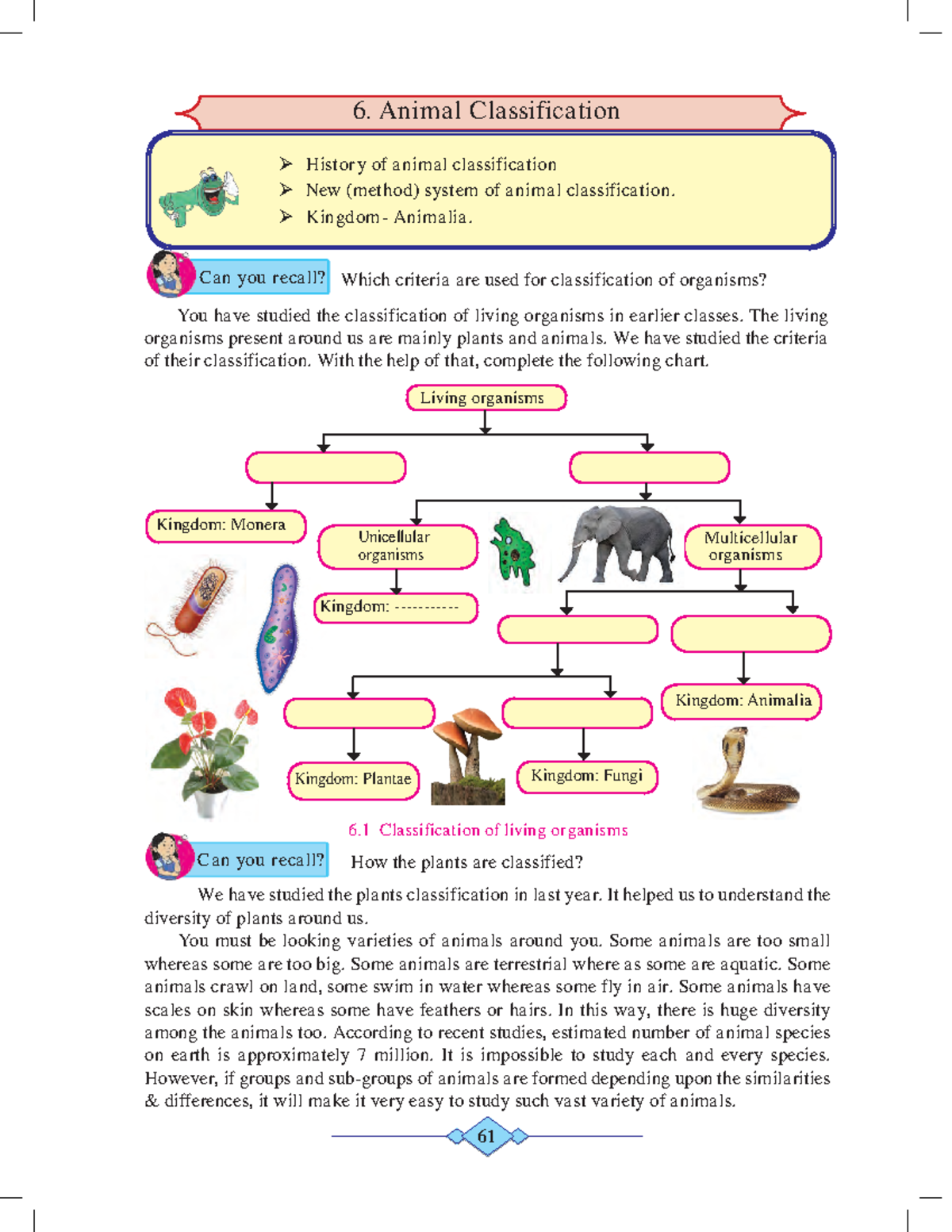 Animal Classification ANIMAL KINGDOM