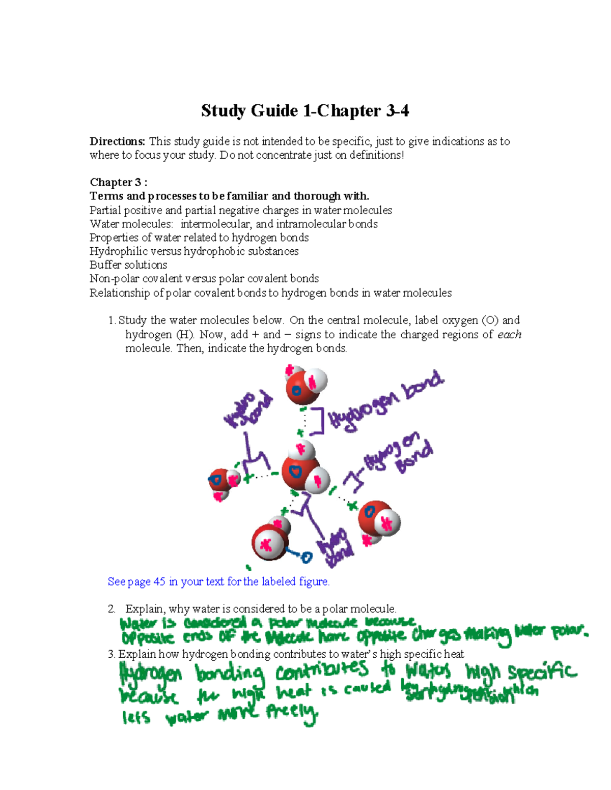 Bio study guide 3-4 copy done copy - Study Guide 1-Chapter 3 ...