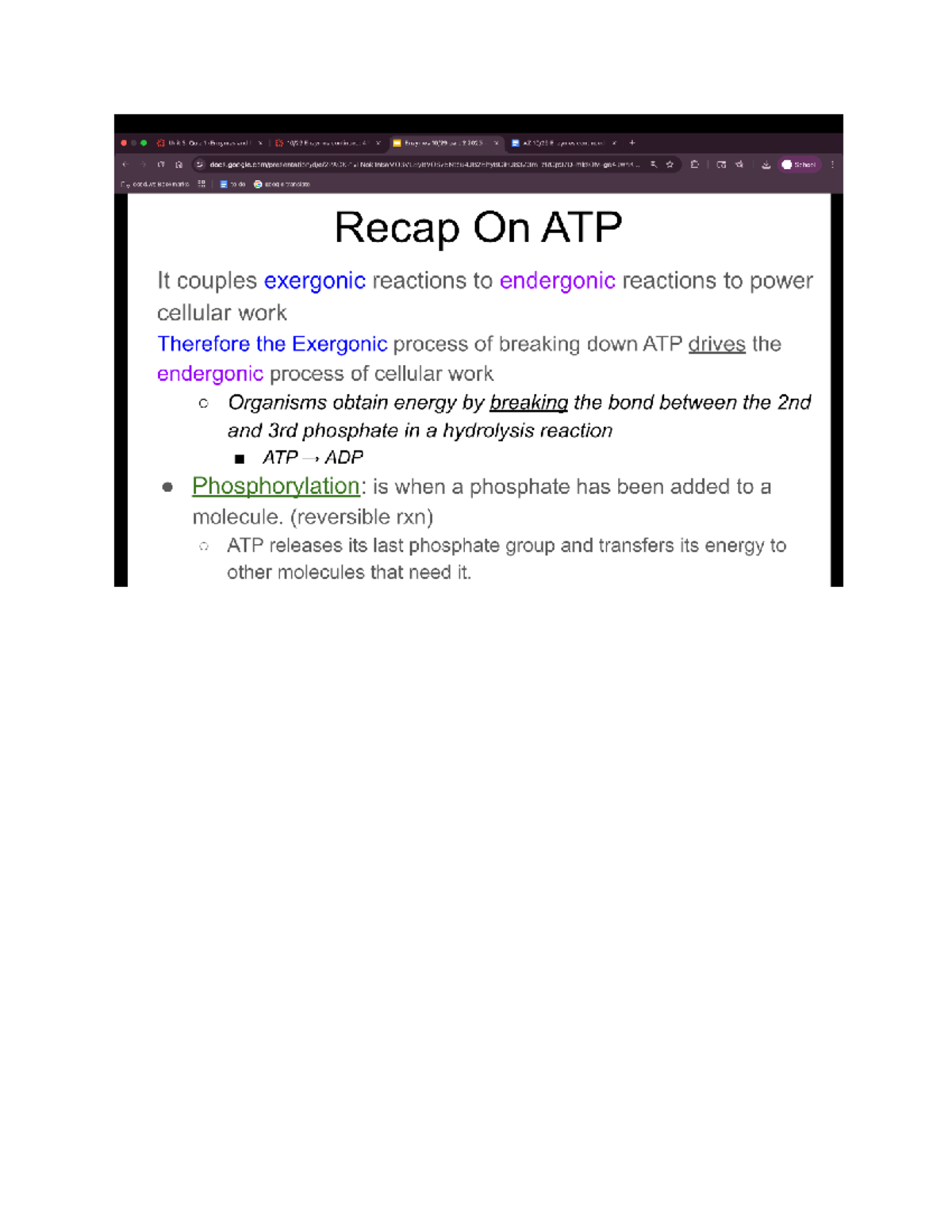 Unit 3: Quiz on Enzymes and ATP - AP 2025 AZ - Studocu