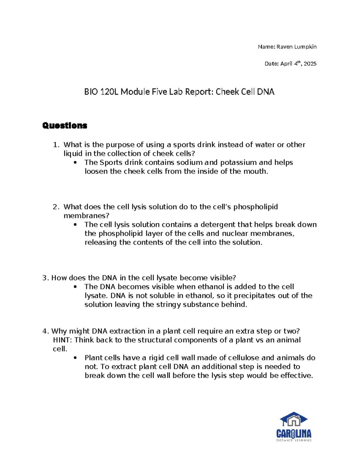BIO 120L Module Five Cheek Cell DNA Extraction Lab Report Template 2 - Name: Raven Lumpkin Date ...
